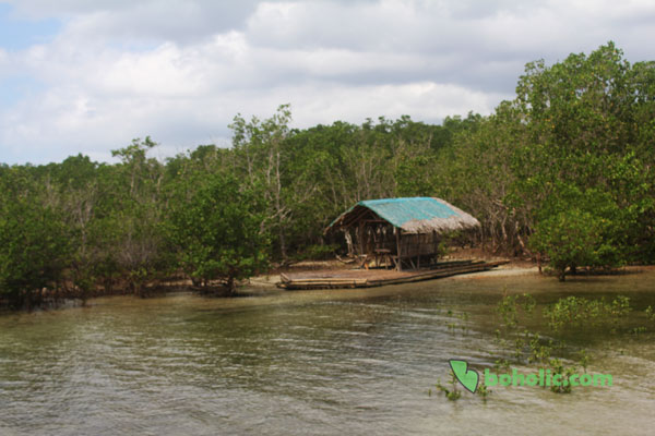 Alternative Beaches in Bohol : Albur and Lila - boundbohol.com