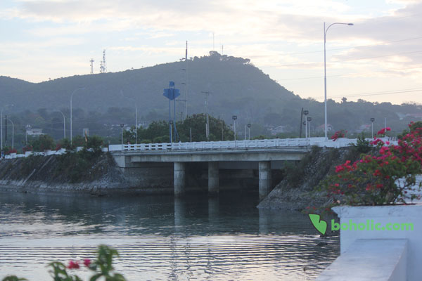 New Dauis Bridge and the Places Around It - boundbohol.com