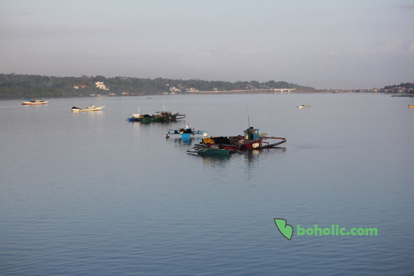 New Dauis Bridge and the Places Around It - boundbohol.com